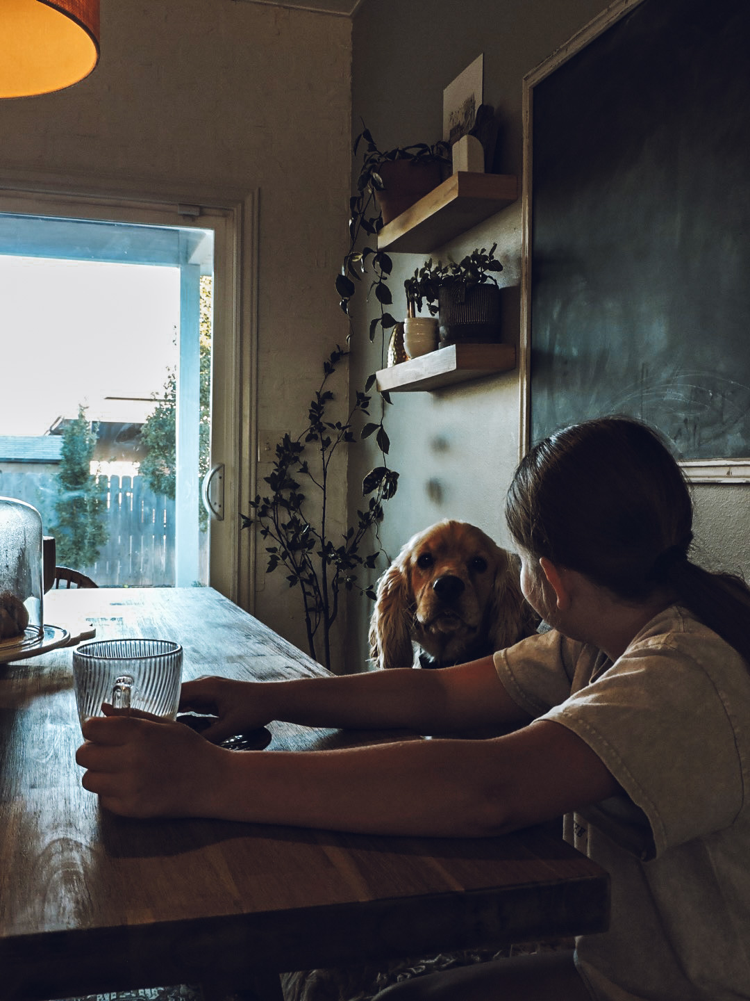 Pumpkin Chocolate Chip Cookies - Berry Berry Quite Contrary
