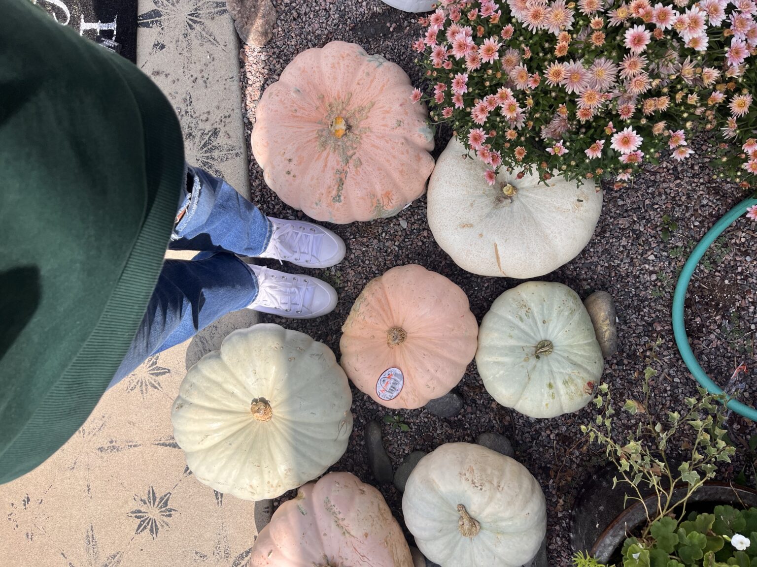 Fall Porch – Salmon Colored Mums & A Plethora Of Pink Pumpkins - Berry ...